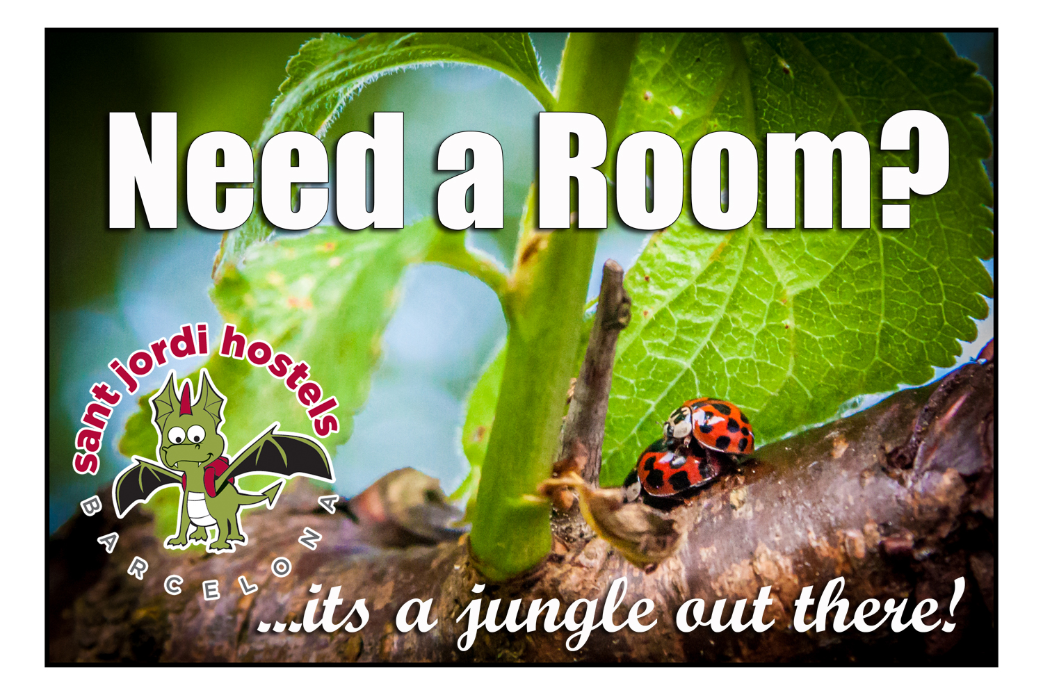 Need-a-Room-2 - Sant Jordi Hostels